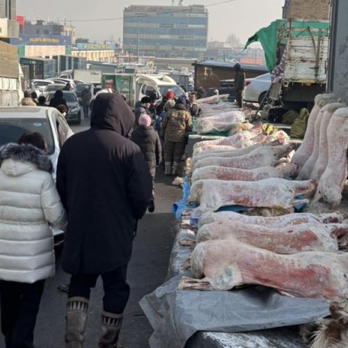 Мах махан бүтээгдэхүүний худалдаа эрхлэгчдийн үйл ажиллагаанд хяналт шалгалт хийж байна