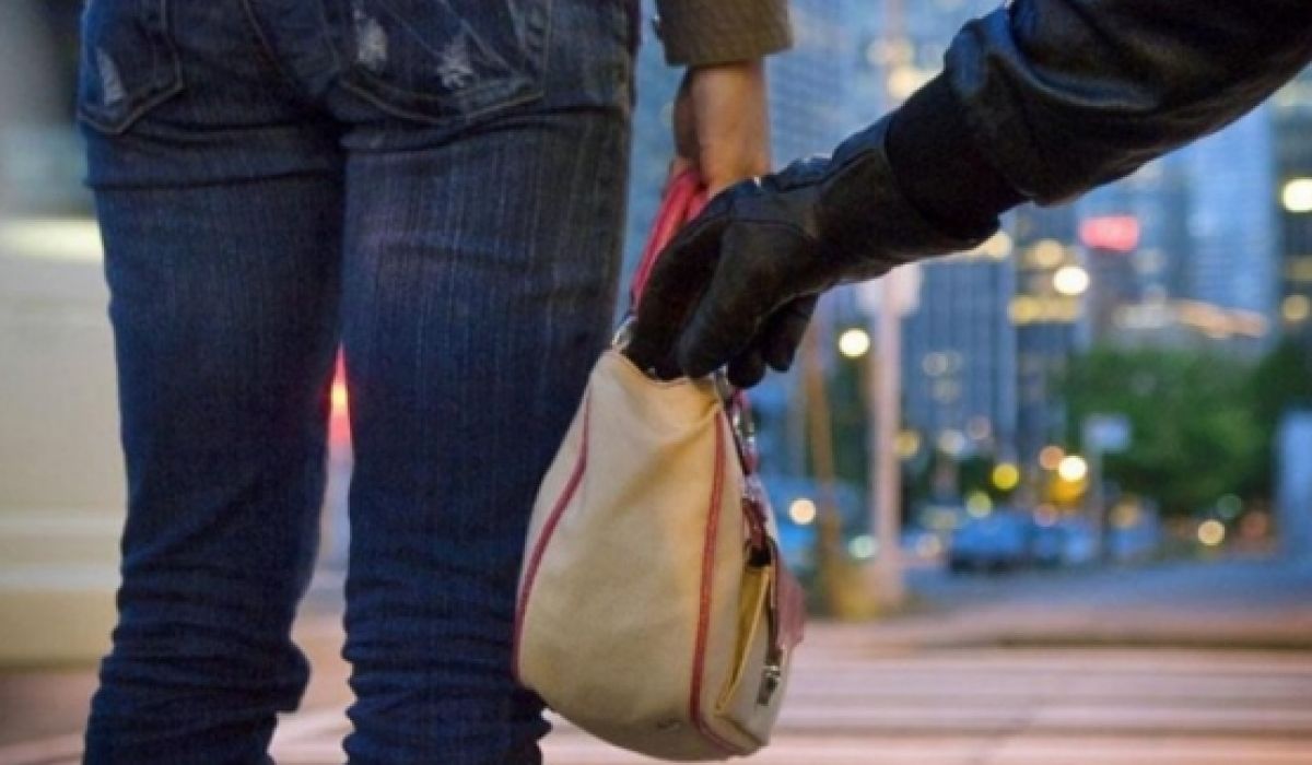 Монгол эмэгтэй Японд хулгайн хэрэгт сэжиглэгджээ